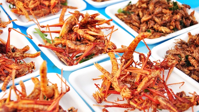 Science & Cocktails: Bugs For Breakfast? | Joburg.co.za | Your Ultimate ...