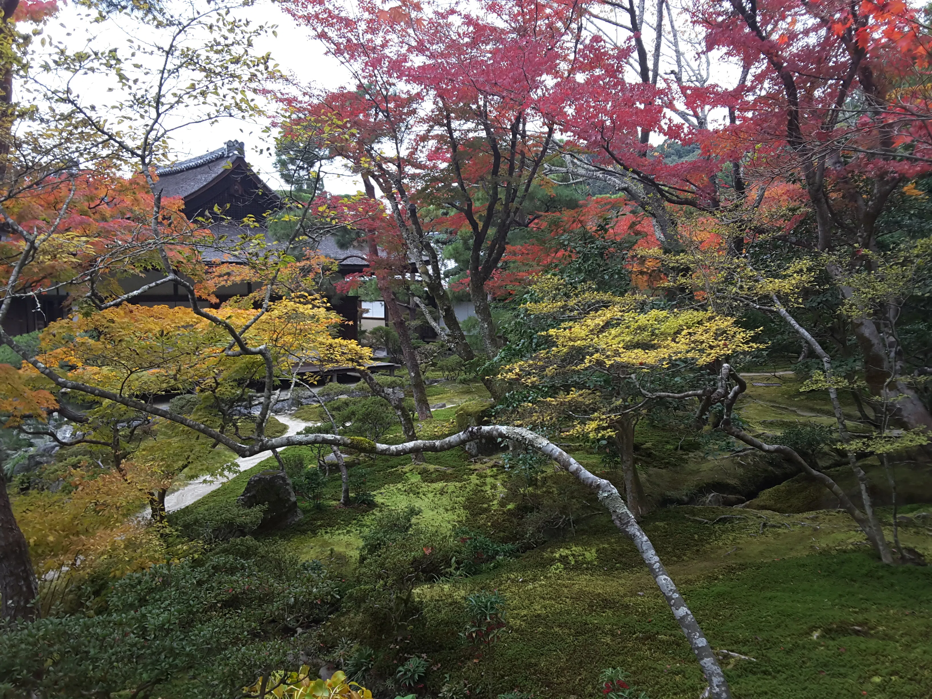 Yrael (@Yrael) | VGen