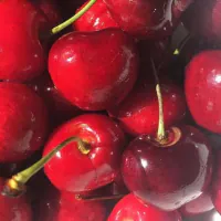 Cherry Ghost (@haunted-cherries) | VGen