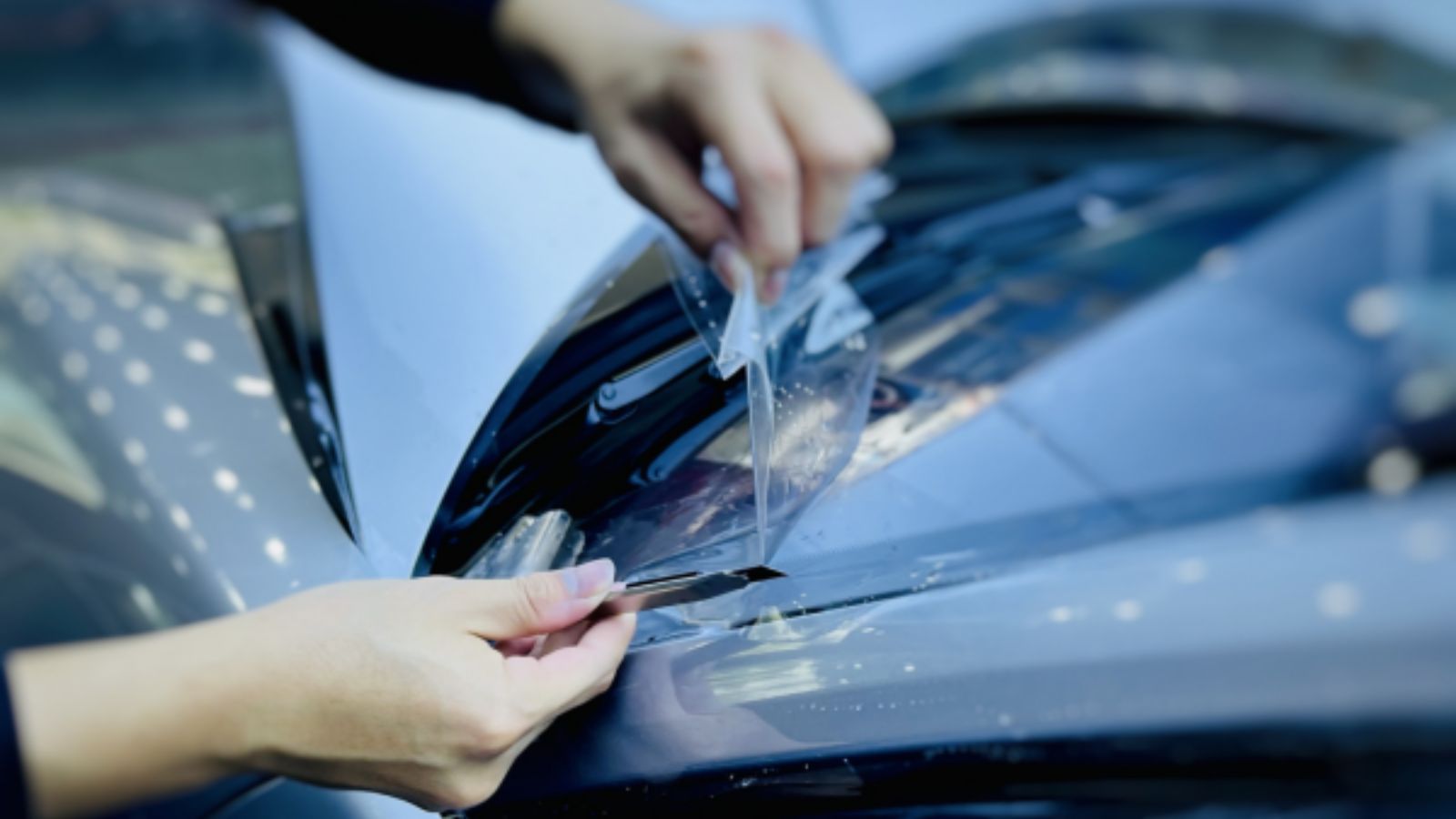 Các loại phim PPF: Ưu, nhược điểm và giá thành