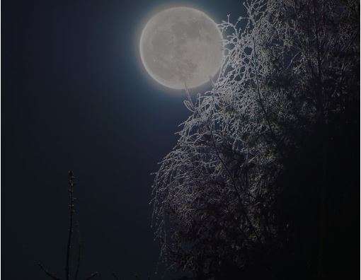 What is Cold Moon? Date, time to spot 2023's last full moon- Republic World