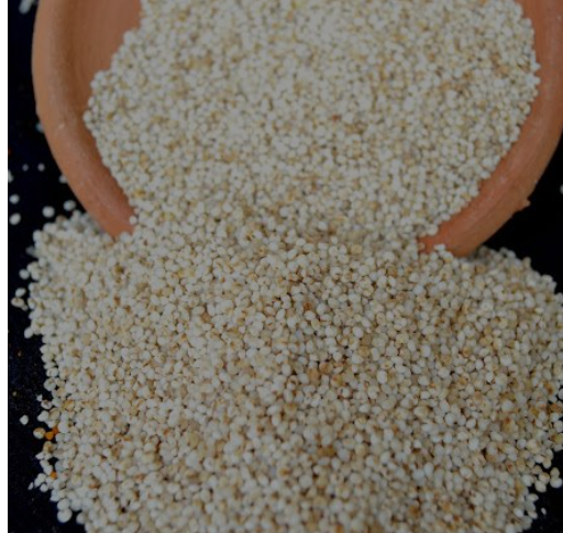 What is Kodo millet? How's it different from regular millet? Health ...