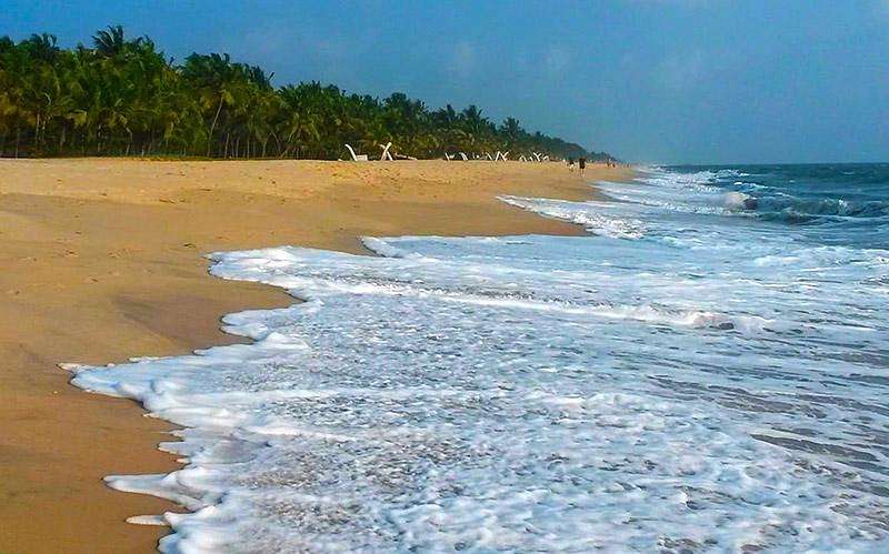 Explore Indian Beaches: Gahirmatha to Shivrajpur, pick these hidden ...