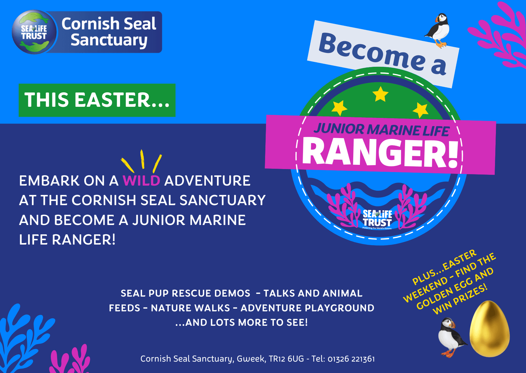 Plan Your Next Adventure | Things To Do In Cornwall