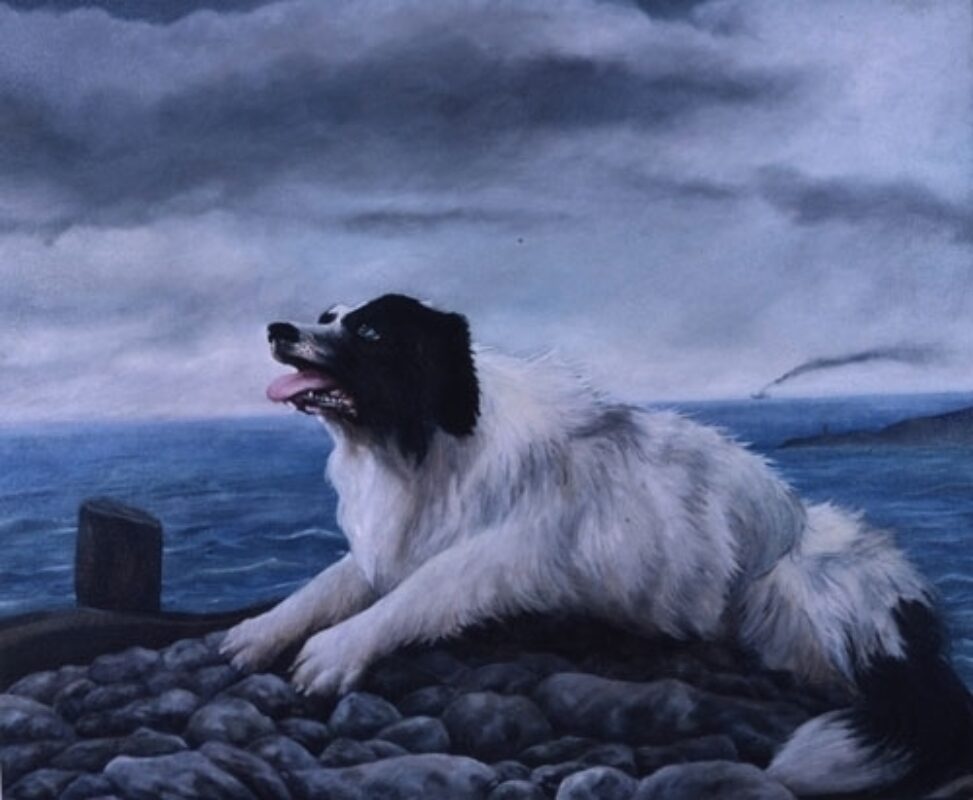 Visual AIDS | Brian Buczak