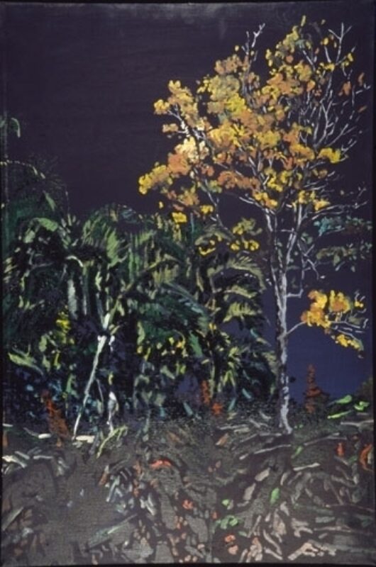 Visual AIDS | Brian Buczak