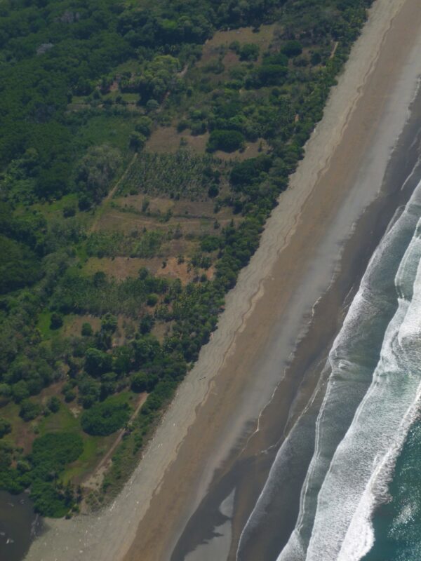 Visual AIDS | David Abbott