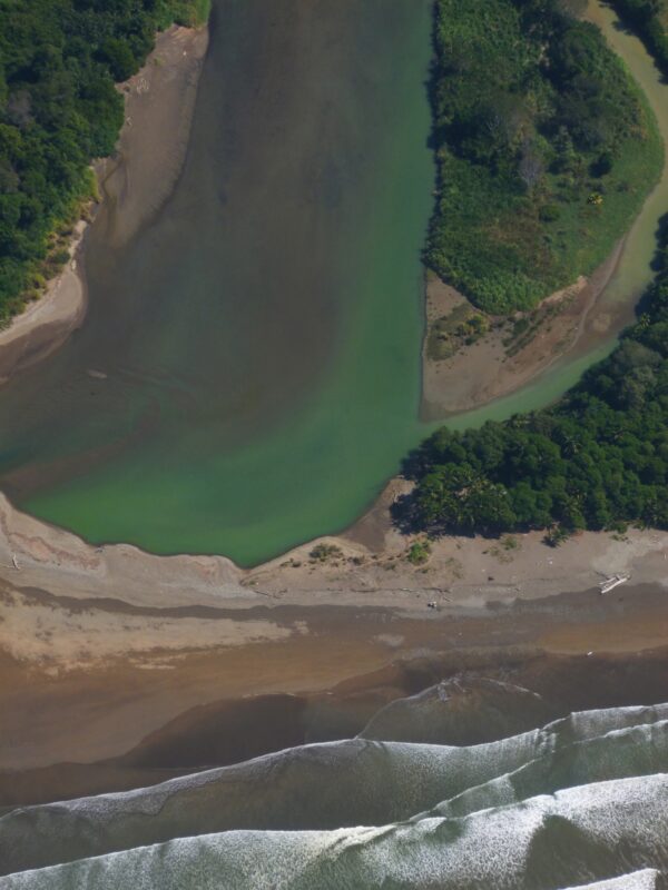 Visual AIDS | David Abbott