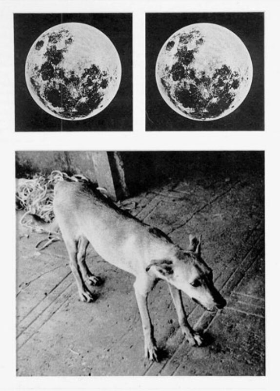 Visual AIDS | David Wojnarowicz