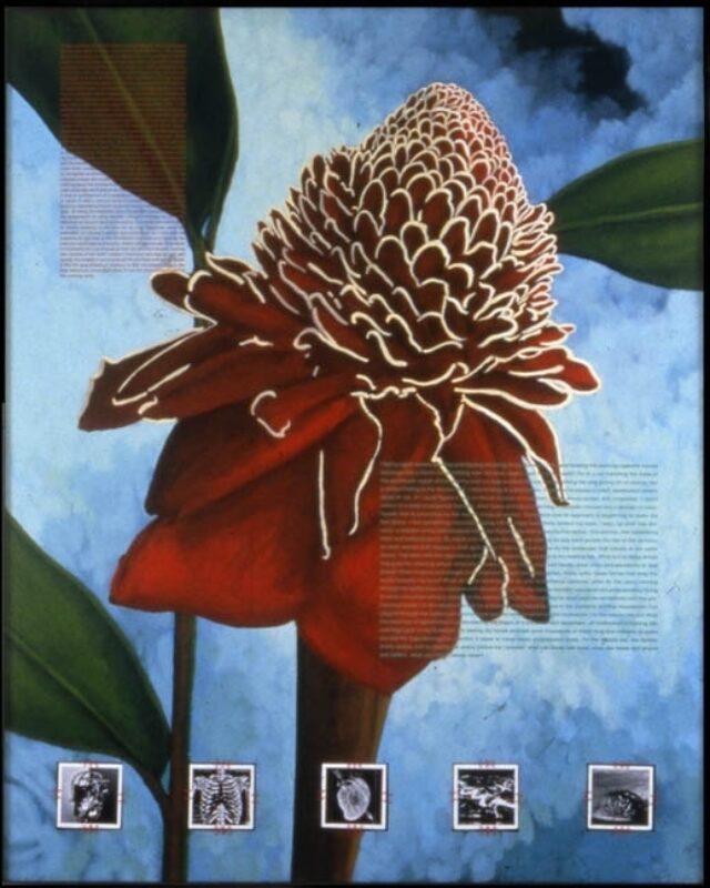 Visual AIDS | David Wojnarowicz