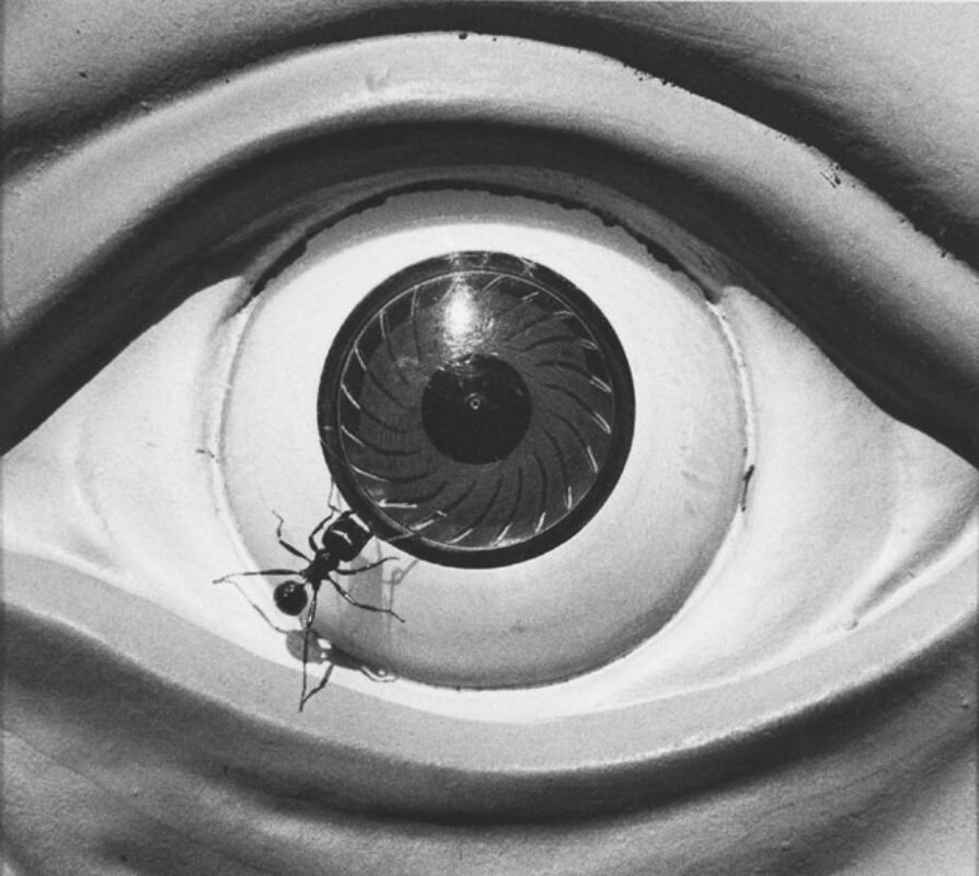 Visual AIDS | David Wojnarowicz