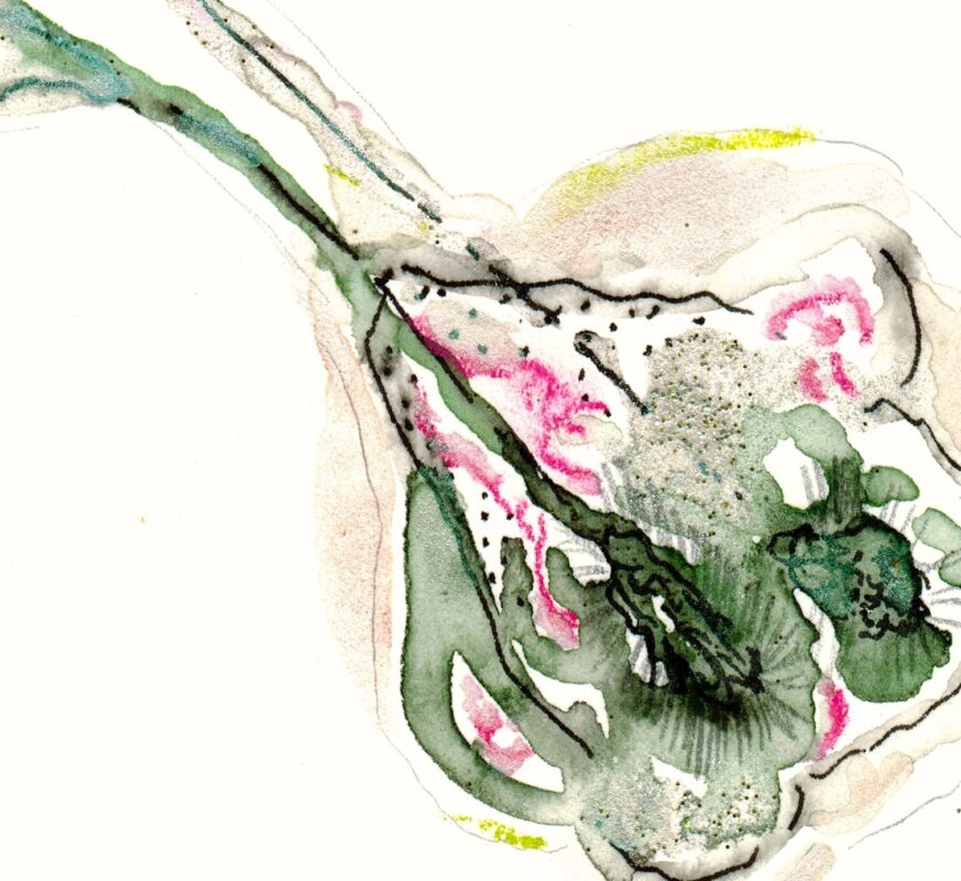 Visual AIDS | Eva Simone Hayward