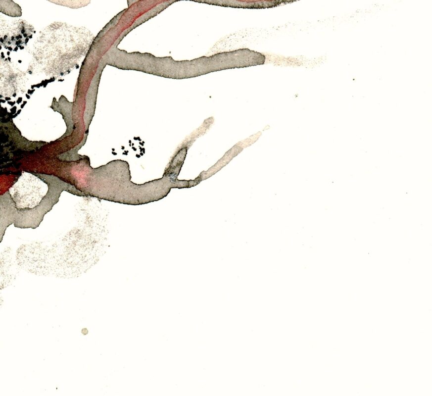 Visual AIDS | Eva Simone Hayward