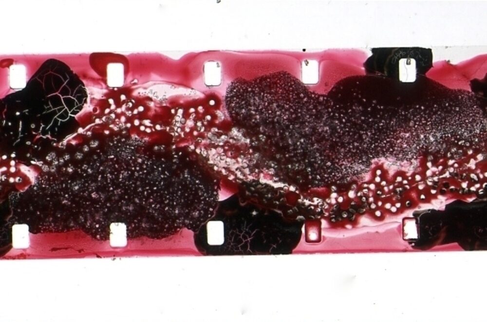 Visual AIDS | Eva Simone Hayward