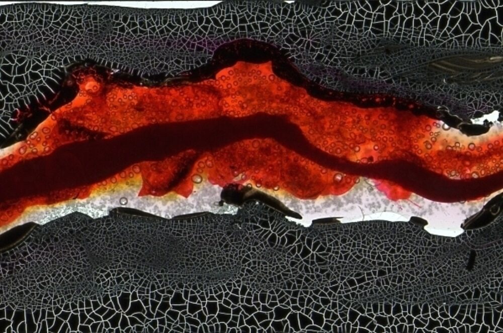 Visual AIDS | Eva Simone Hayward