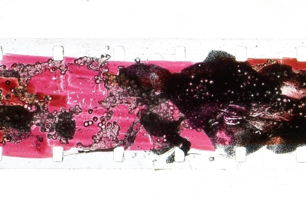 Visual AIDS | Eva Simone Hayward