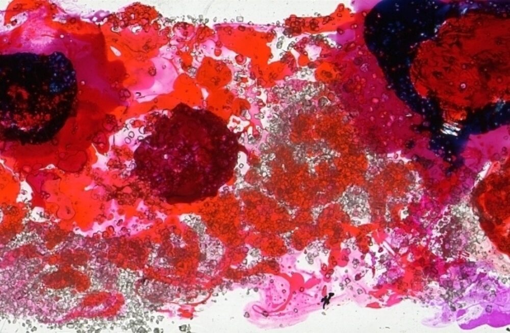 Visual AIDS | Eva Simone Hayward