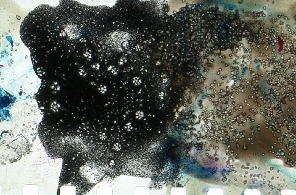 Visual AIDS | Eva Simone Hayward