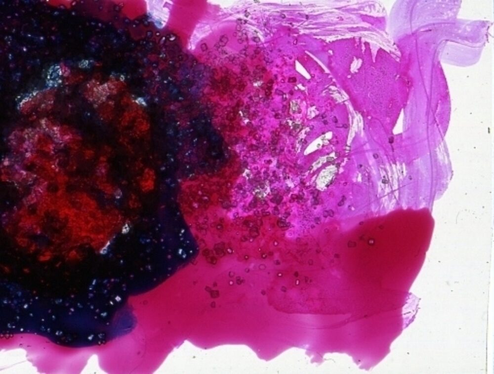 Visual AIDS | Eva Simone Hayward