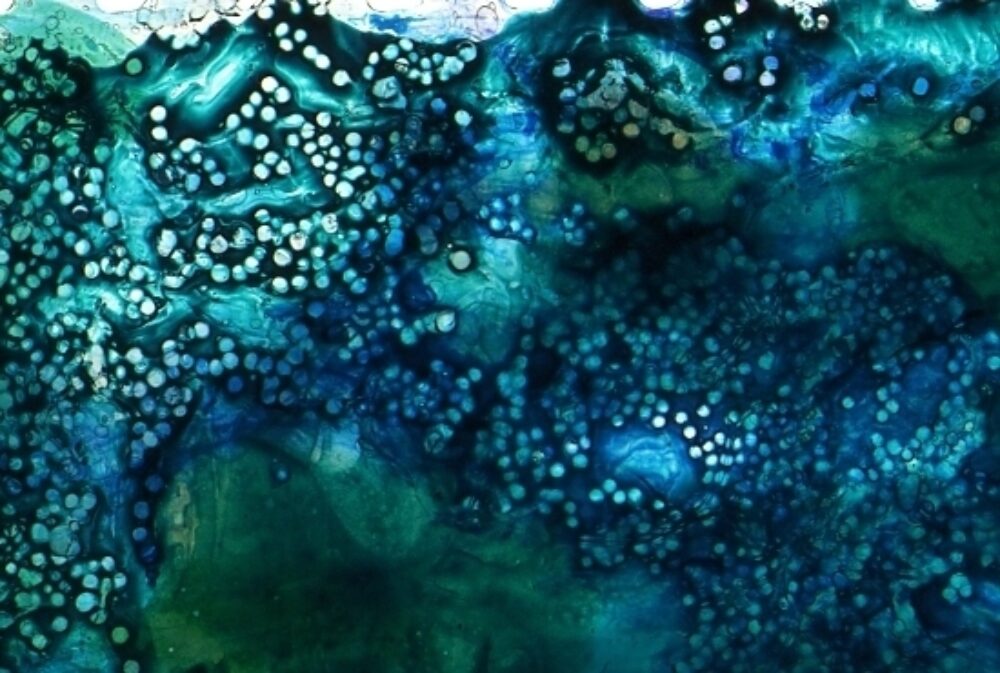 Visual AIDS | Eva Simone Hayward