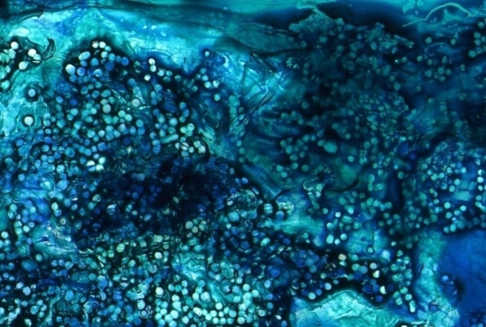 Visual AIDS | Eva Simone Hayward