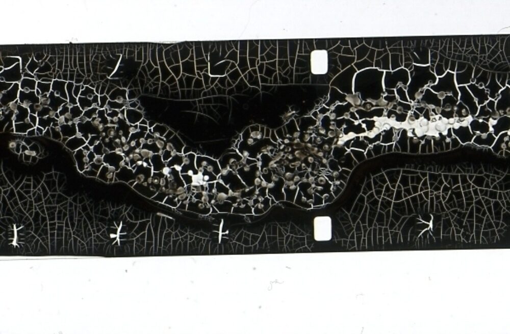 Visual AIDS | Eva Simone Hayward