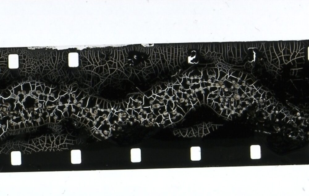 Visual AIDS | Eva Simone Hayward