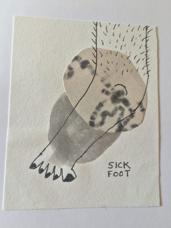 Visual AIDS | Eva Simone Hayward