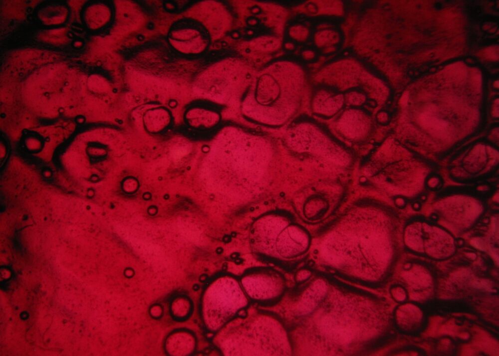 Visual AIDS | Eva Simone Hayward