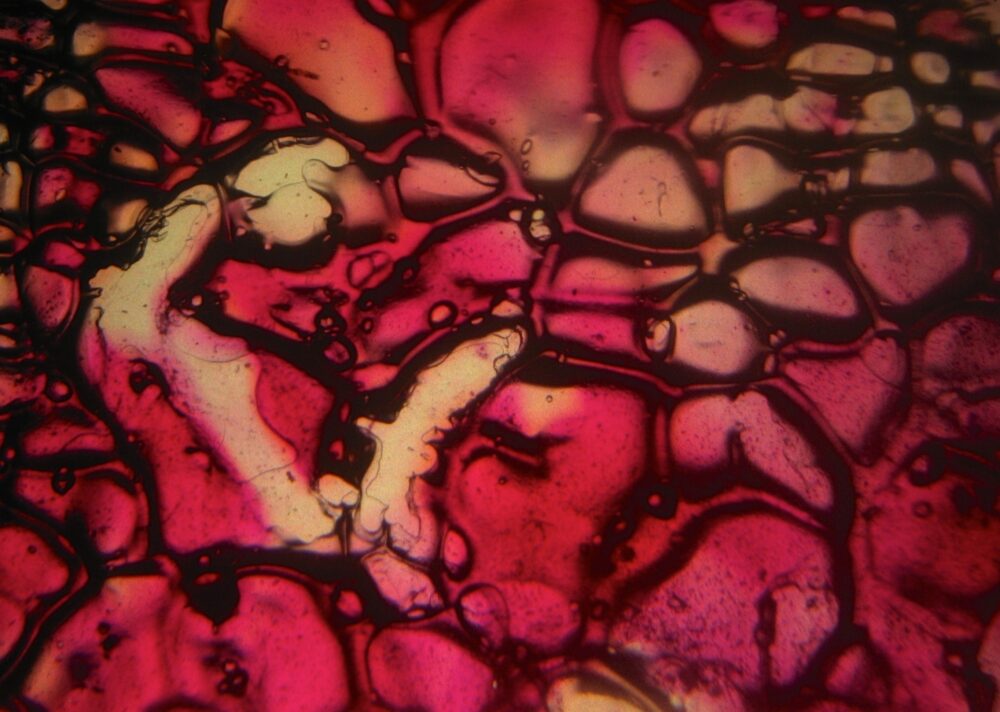 Visual AIDS | Eva Simone Hayward