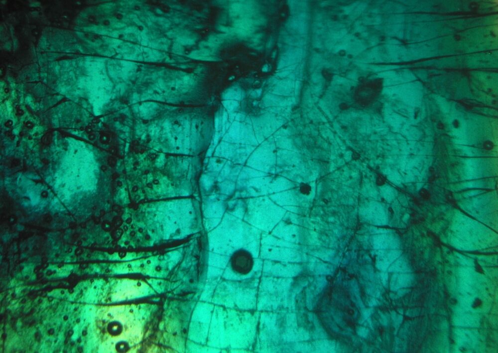 Visual AIDS | Eva Simone Hayward