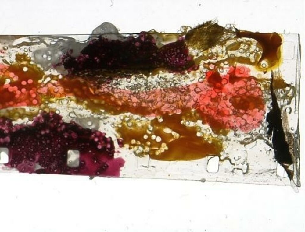 Visual AIDS | Eva Simone Hayward