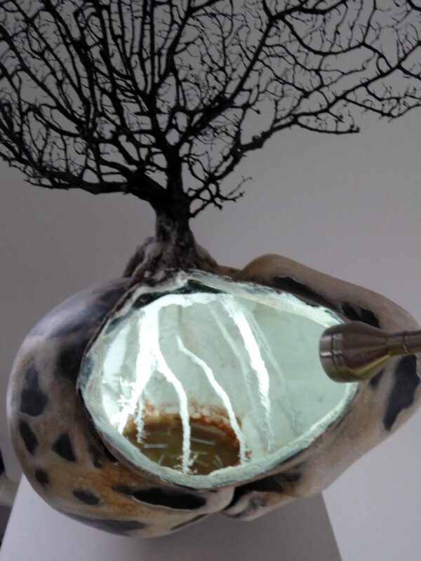 Visual AIDS | Guy Burch