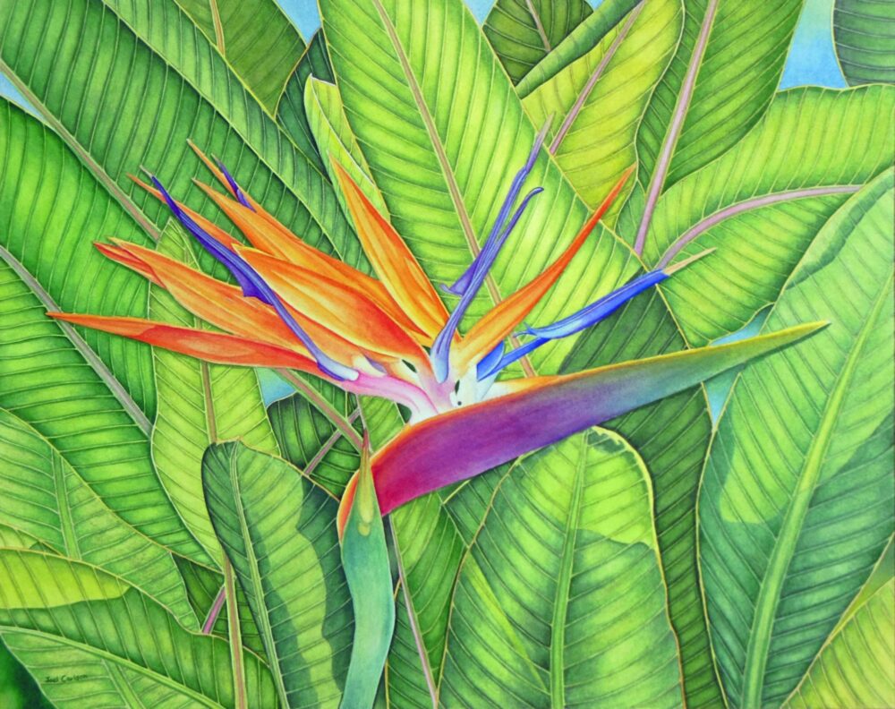 Visual AIDS | Joel Carlson