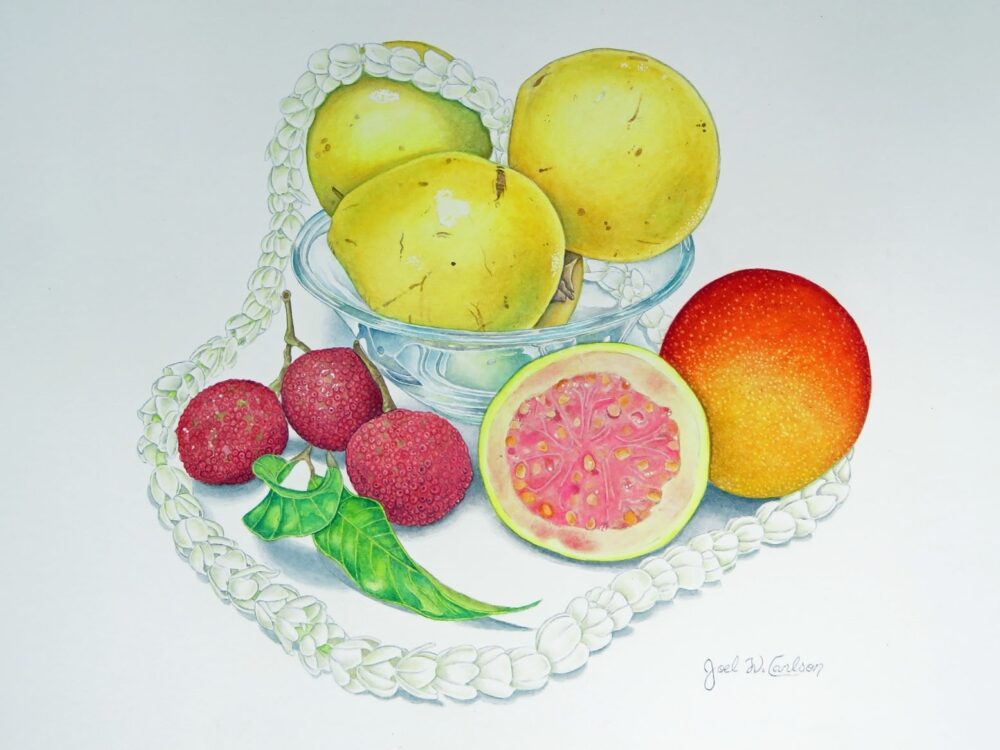 Visual AIDS | Joel Carlson