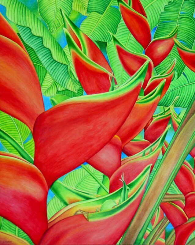 Visual AIDS | Joel Carlson