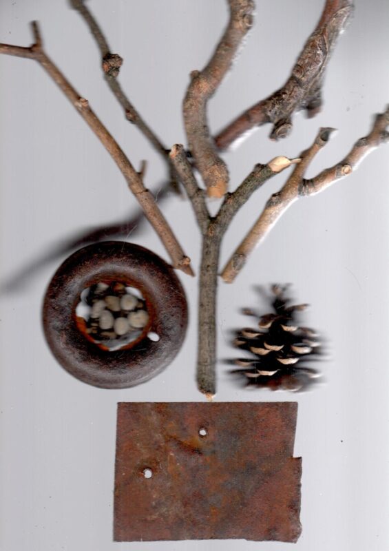 Visual AIDS | John Engstrom