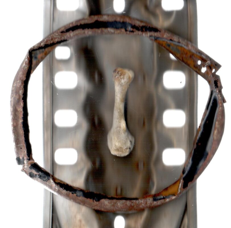 Visual AIDS | John Engstrom