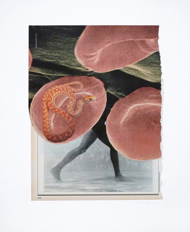 Visual AIDS | Michael Golden
