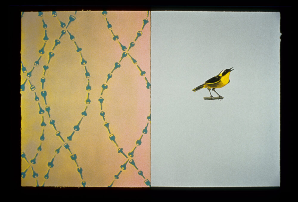 Visual AIDS | Michael Golden