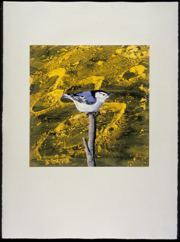 Visual AIDS | Michael Golden