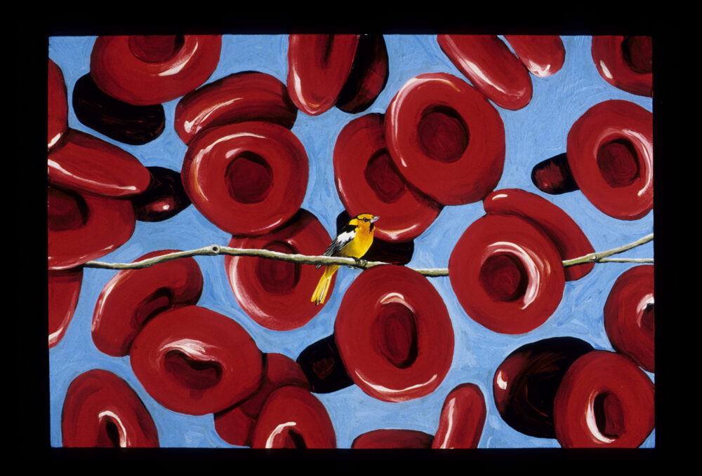 Visual AIDS | Michael Golden