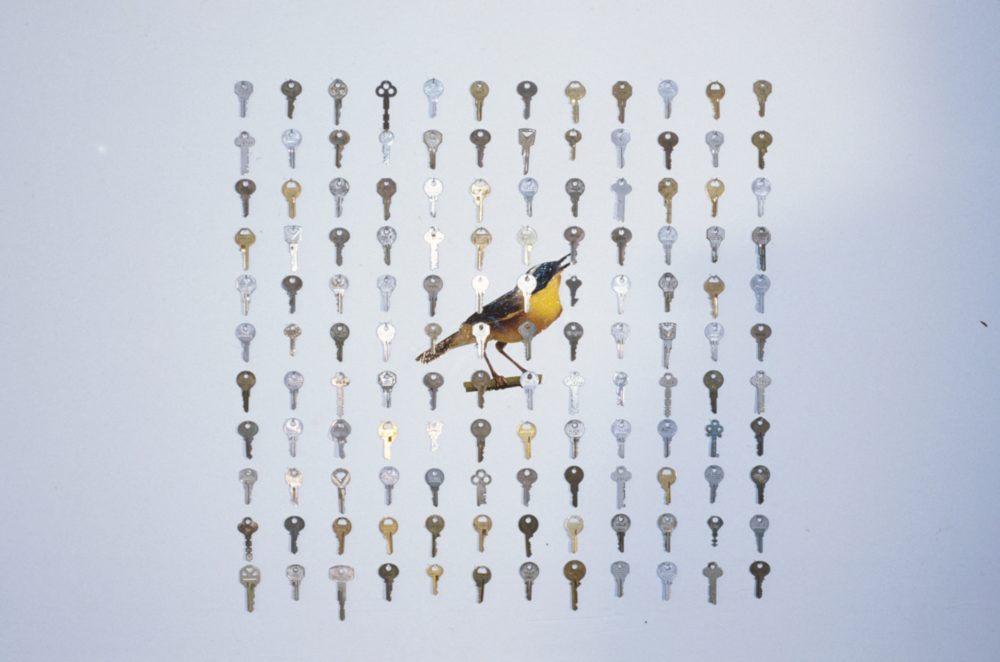 Visual AIDS | Michael Golden