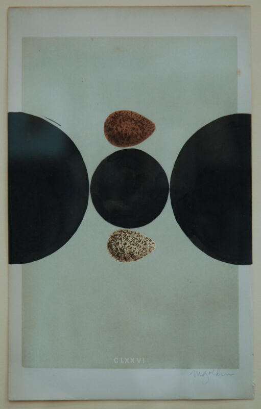 Visual AIDS | Michael Golden