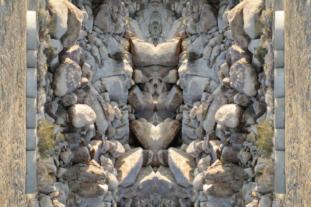 Visual AIDS | Steed Taylor