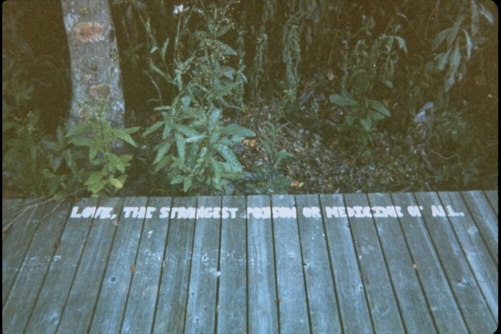 Visual AIDS | Steed Taylor