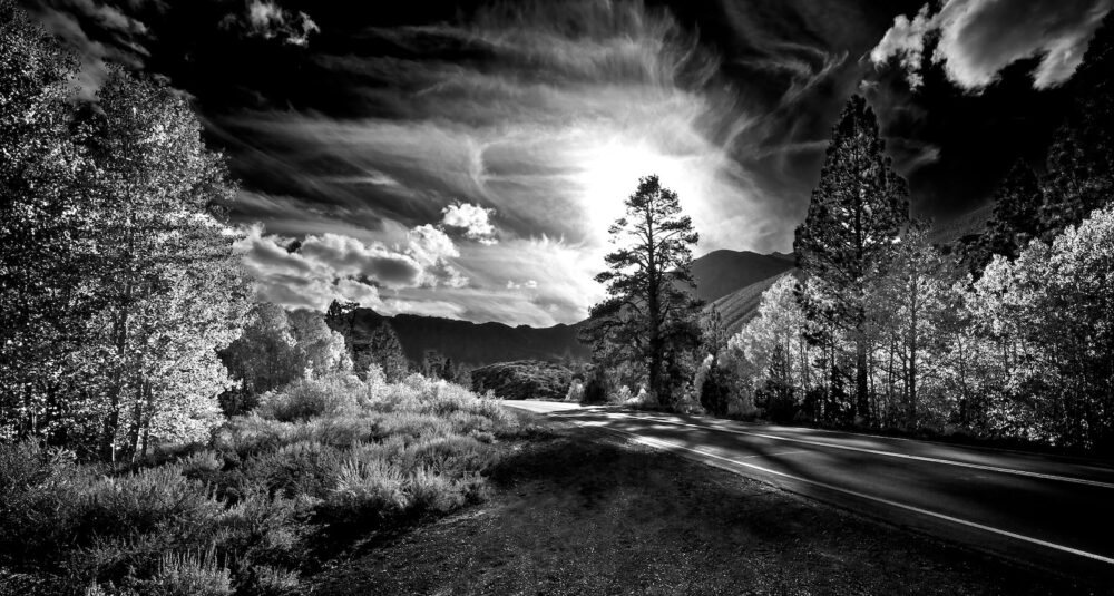 Visual AIDS | Steve Muench