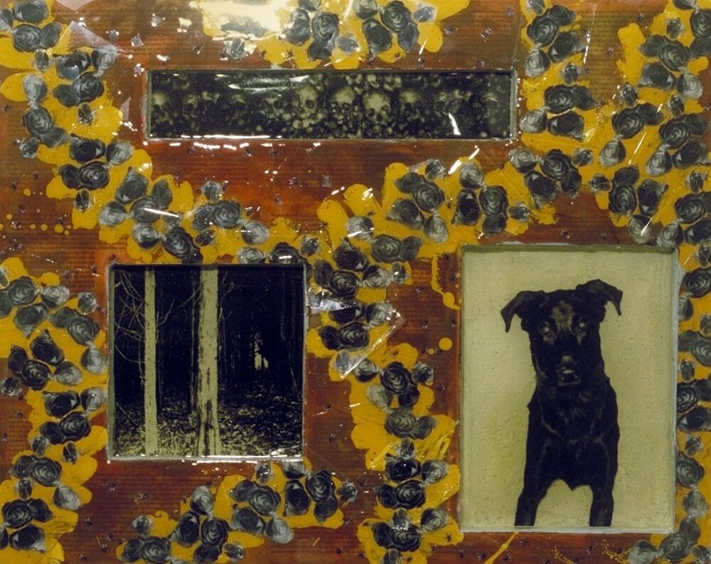 Visual AIDS | William Cullum