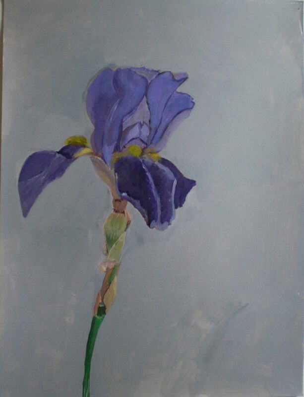 Visual AIDS | William Cullum