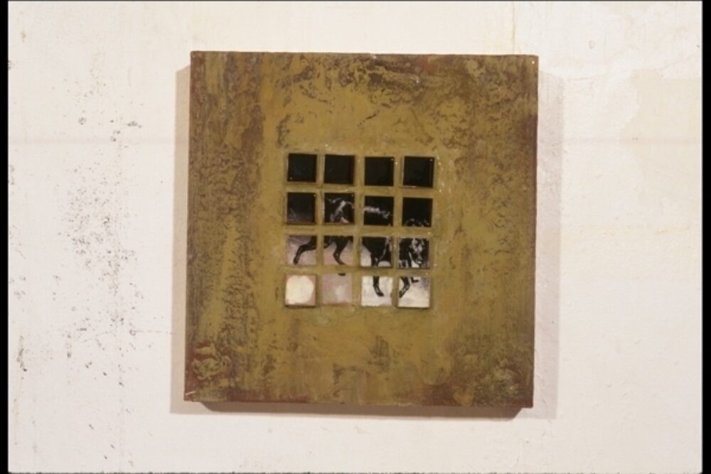 Visual AIDS | William Cullum